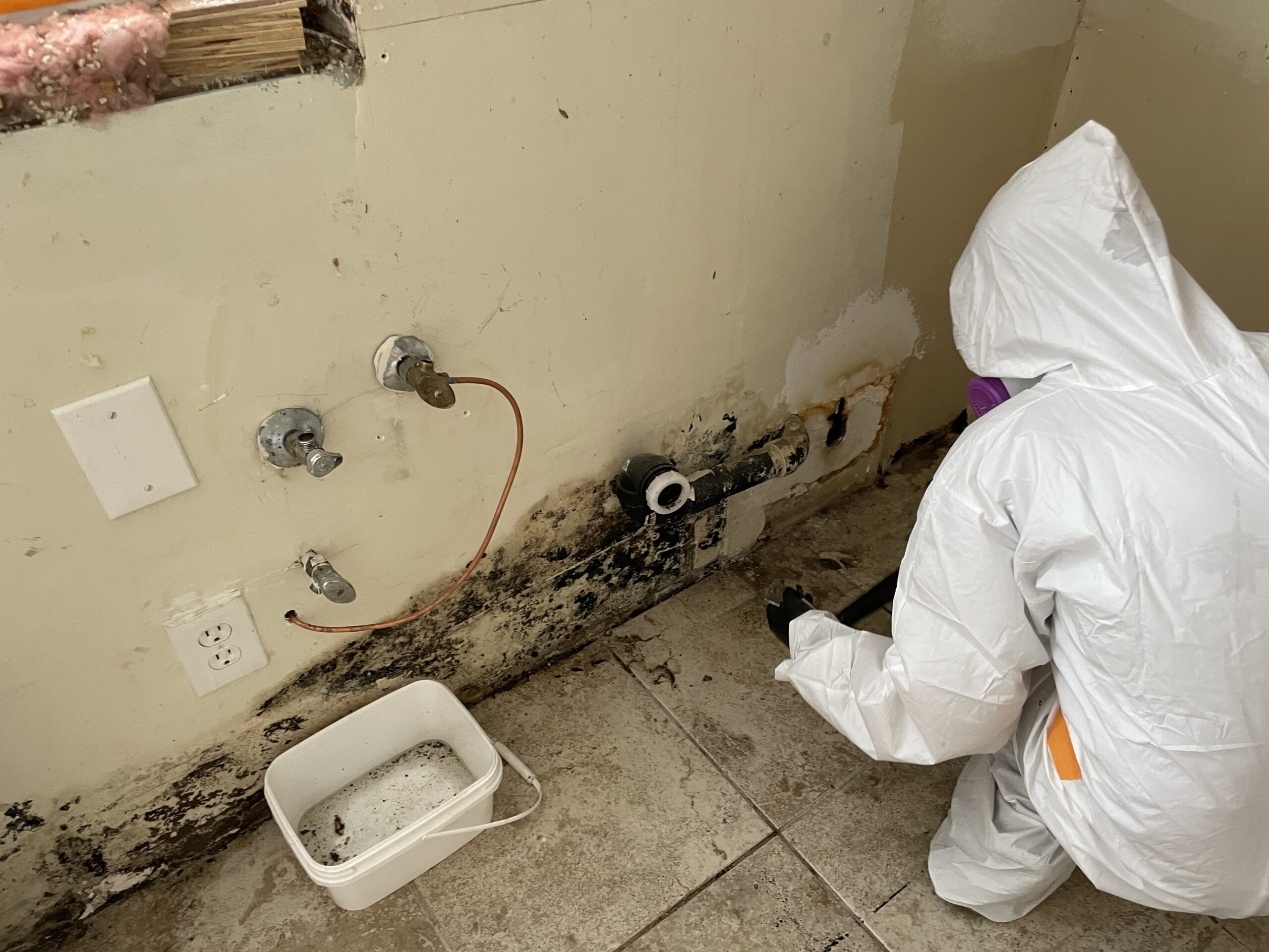 Top 10 Signs of Mold in Your Home: What Every Homeowner Should Know ...